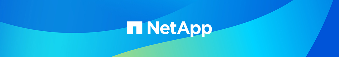 EIC Summer Webinar Series - Career Fair Ready with NetApp